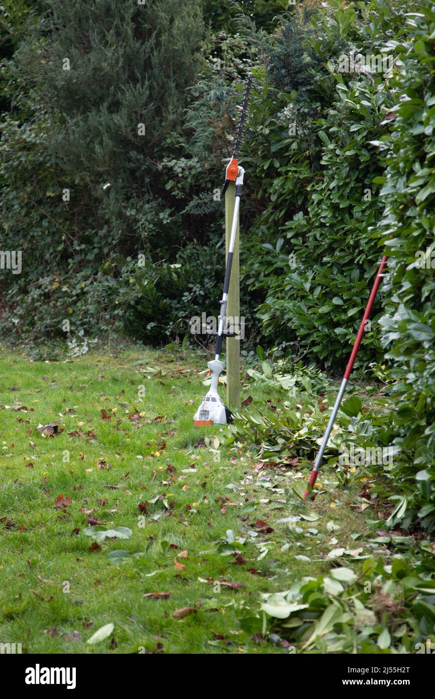 Line of hedges hi-res stock photography and images - Alamy
