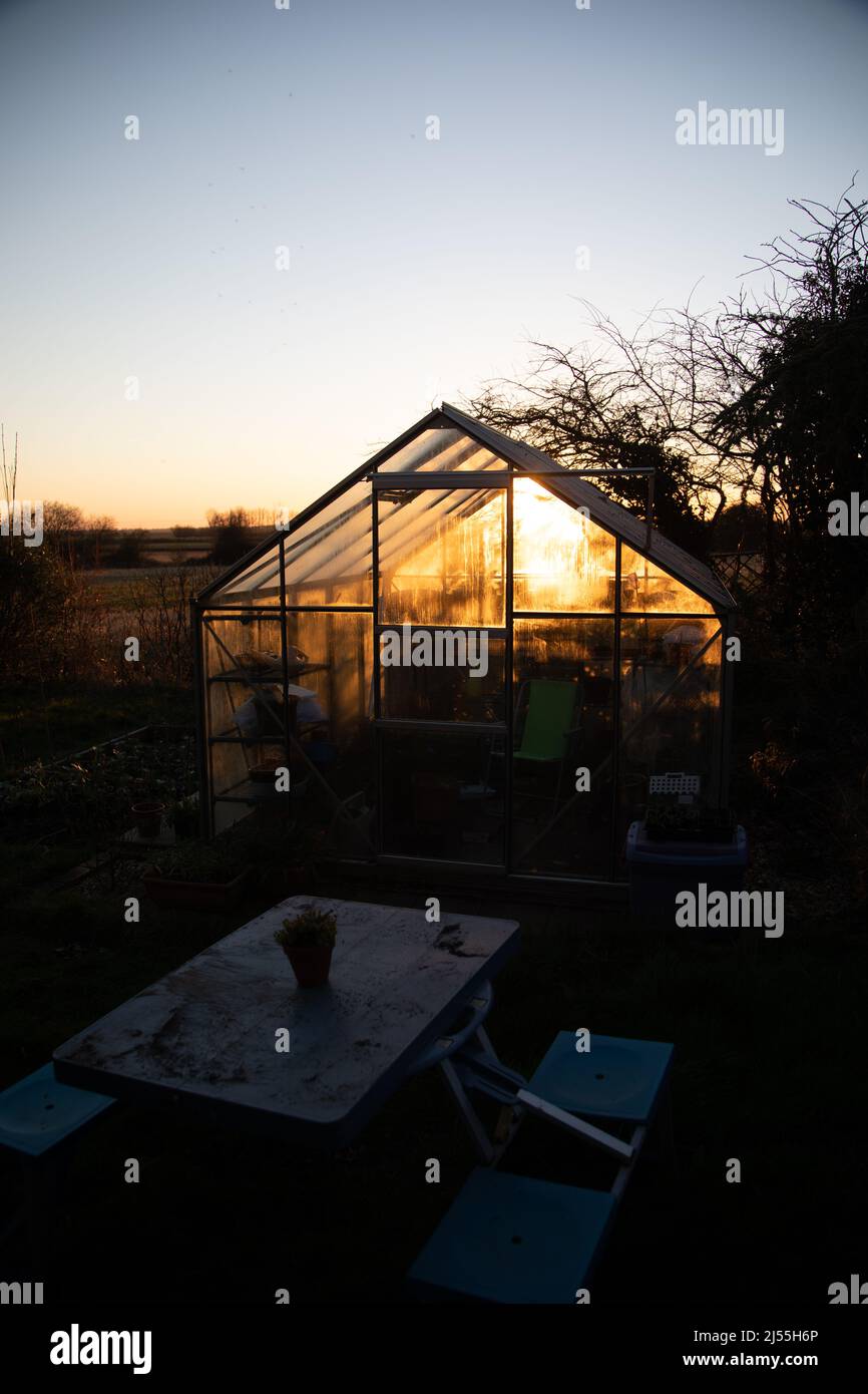 Productive greenhouse hi-res stock photography and images - Alamy
