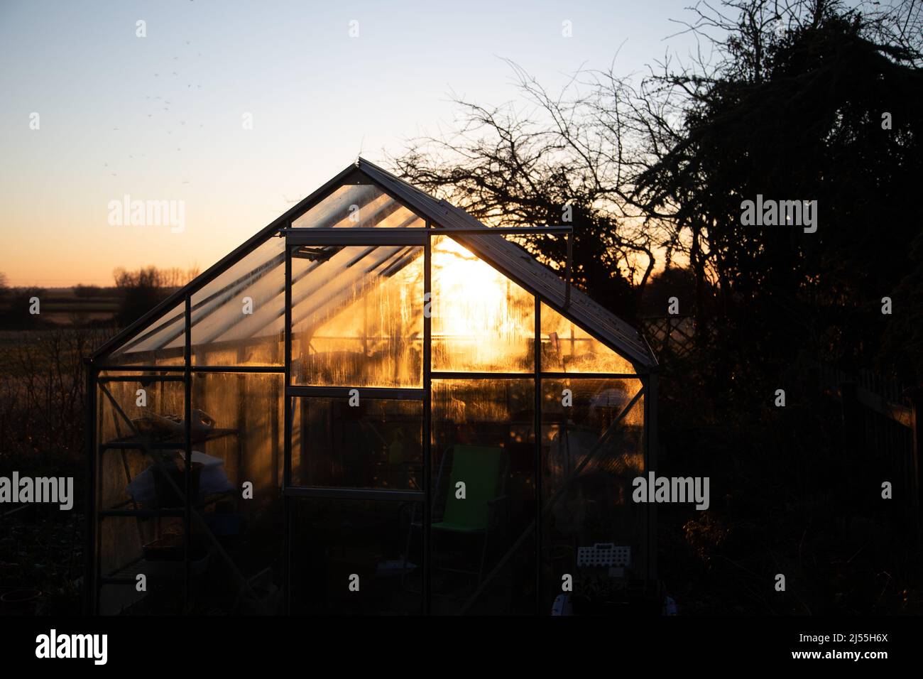 Greenhouse with sunset behind Stock Photo - Alamy