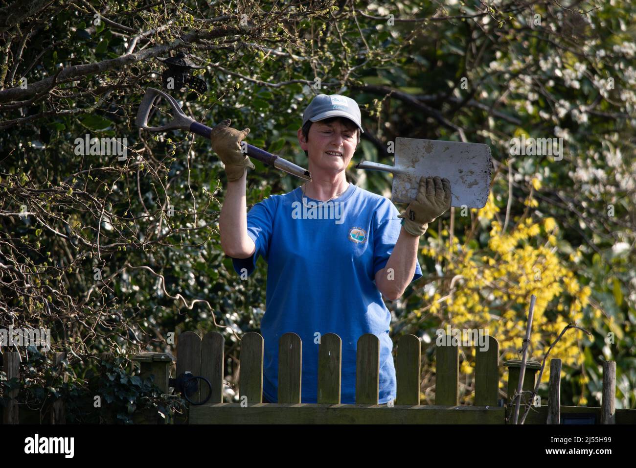 Woman holding a broken spade Stock Photo - Alamy