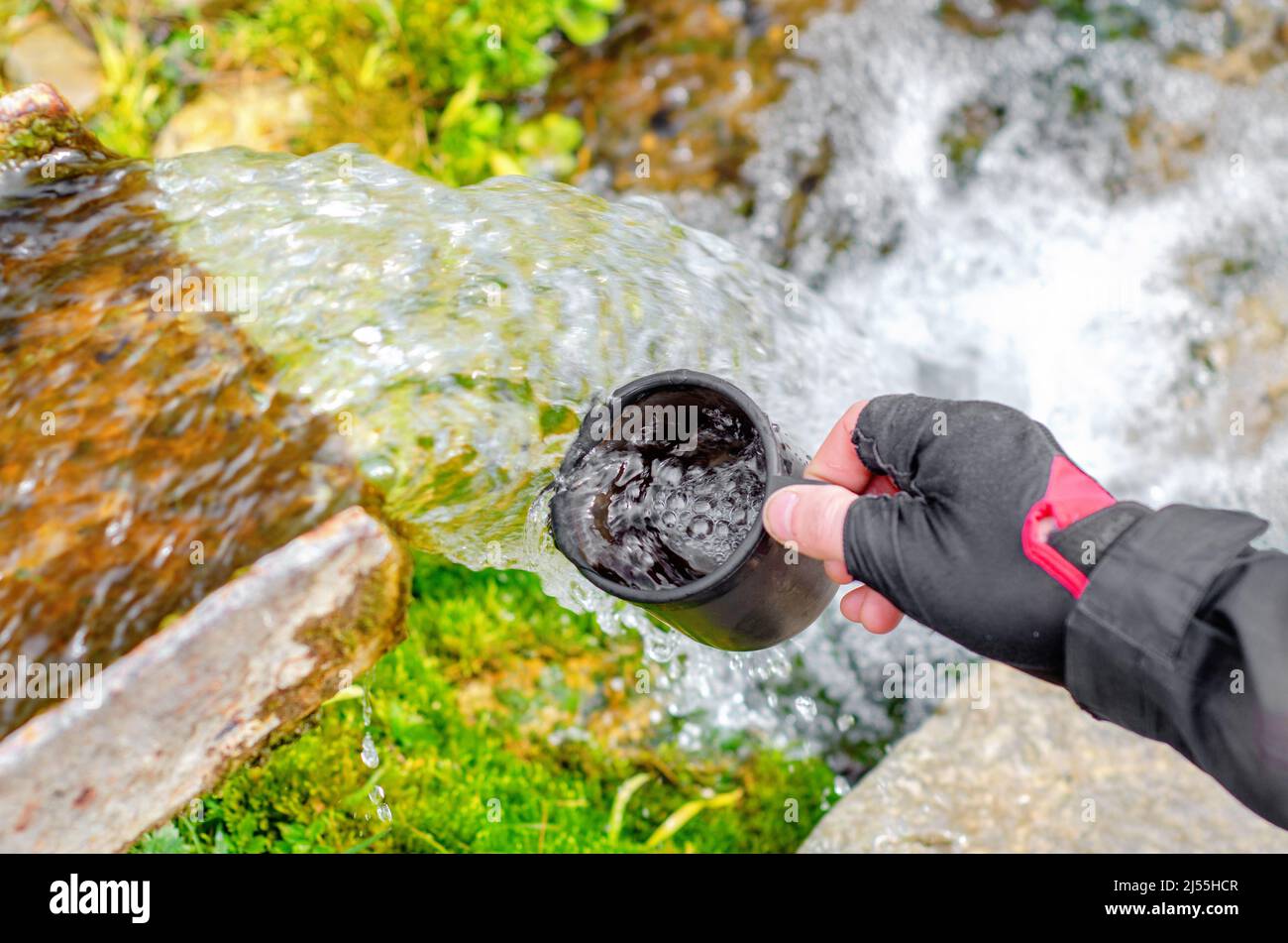 The flow of pure spring water. A man's hand collects water in mug in ...
