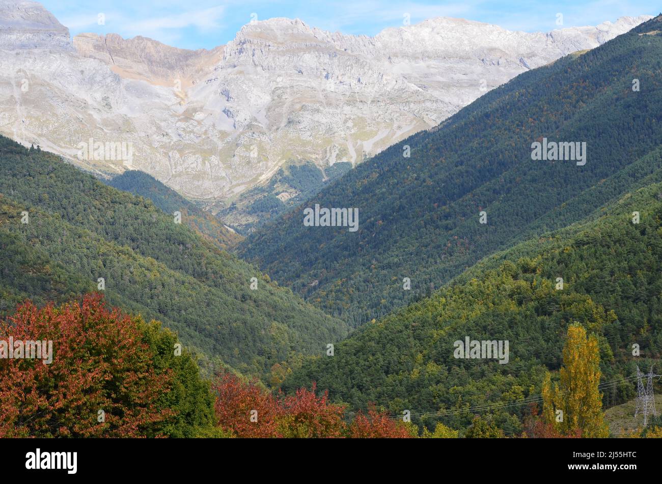 Mixed mountain forests of the Ordesa-Viñamala Biosphere Reserve ...