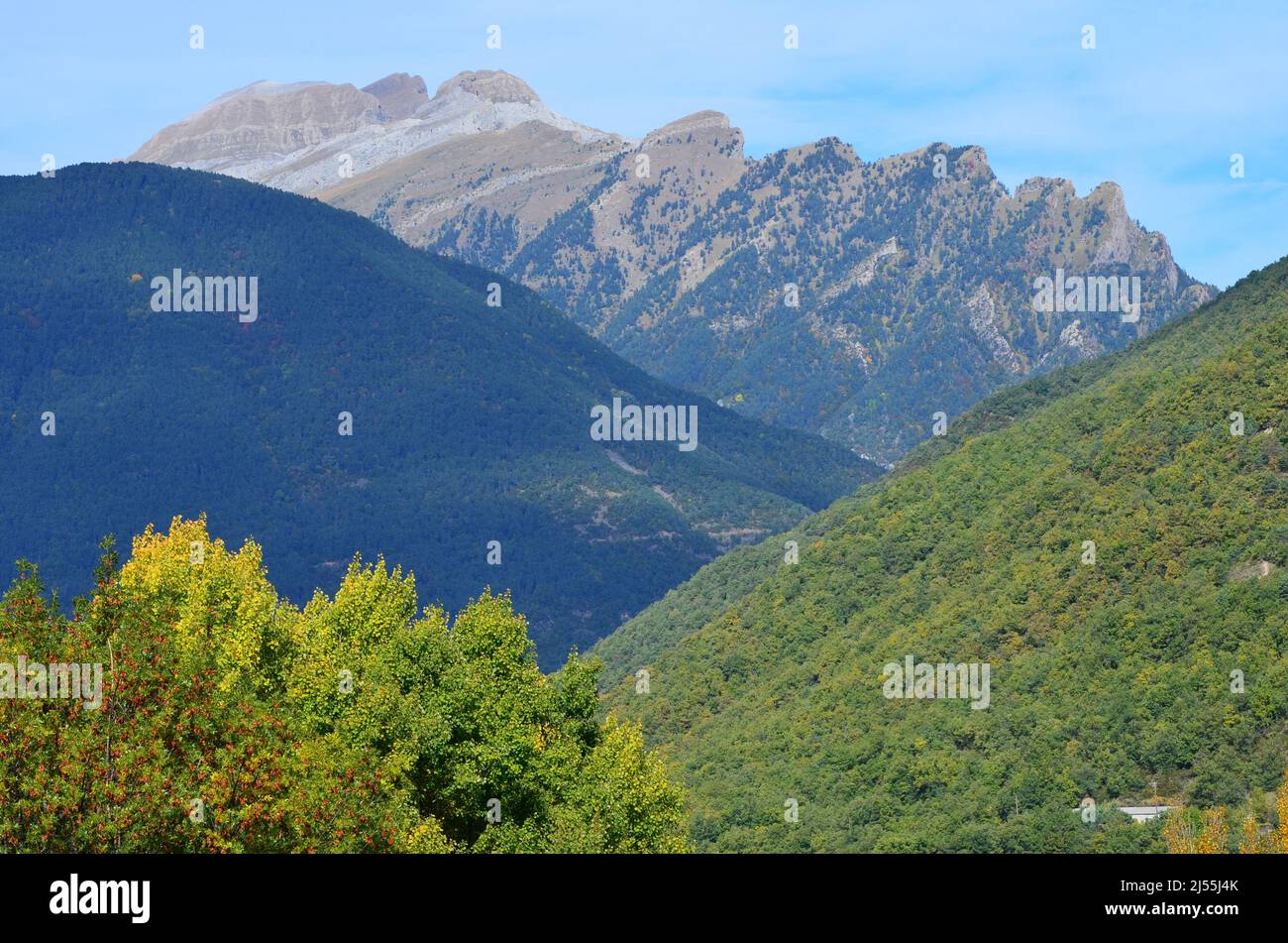 Mixed mountain forests of the Ordesa-Viñamala Biosphere Reserve ...