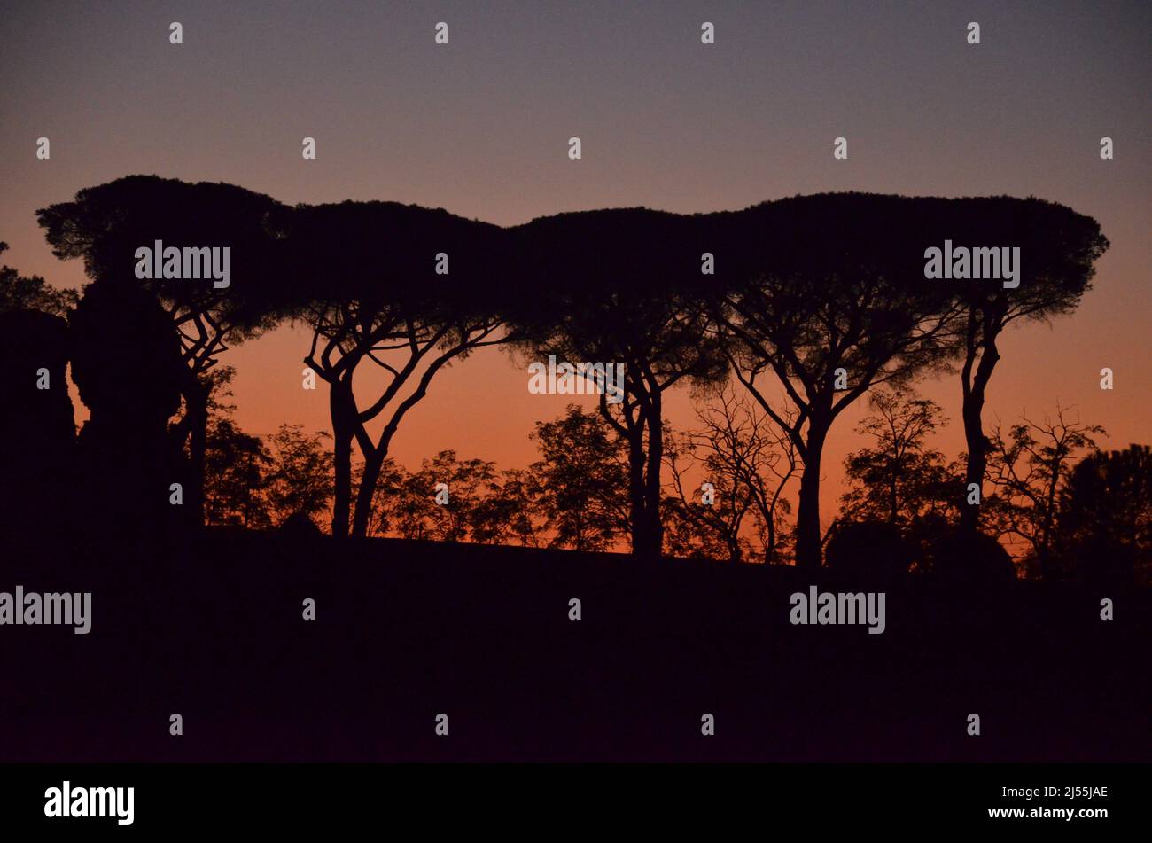 Photos taken at sunset while on a stroll through the beautiful ...