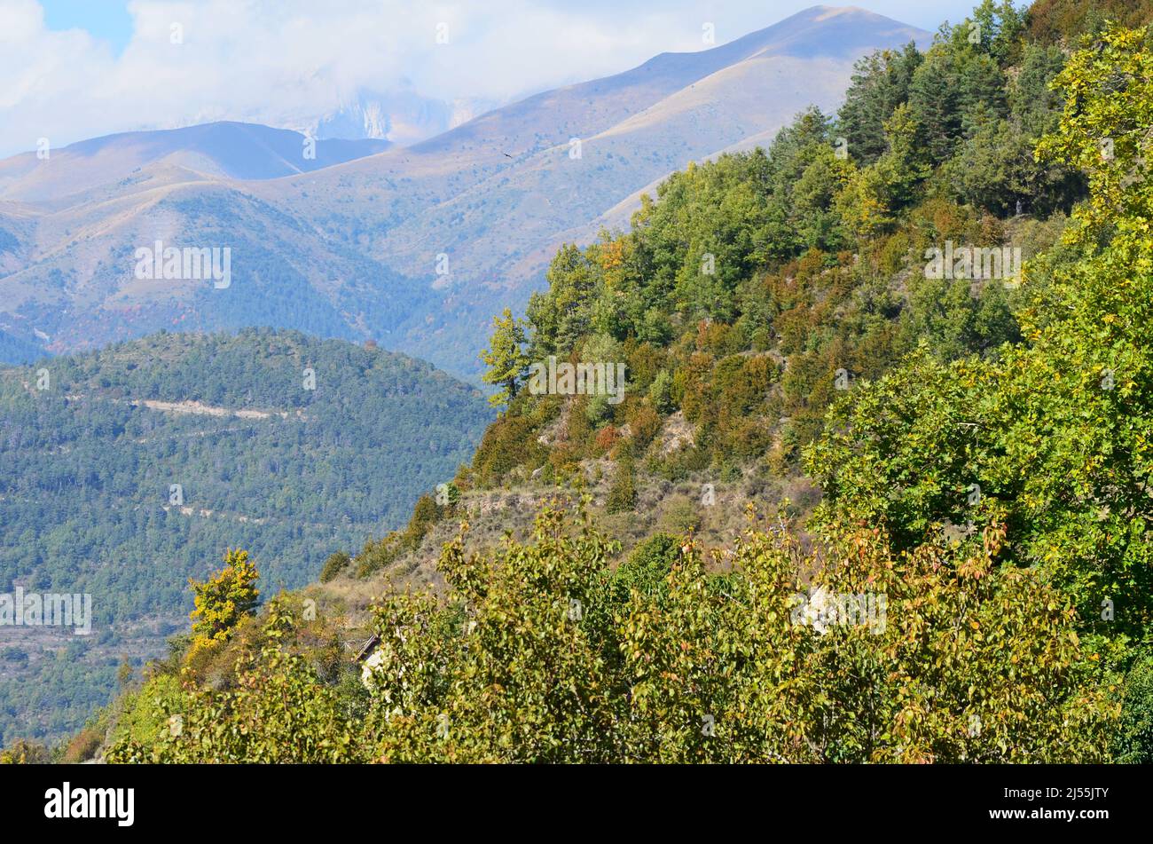 Mixed mountain forests of the Ordesa-Viñamala Biosphere Reserve ...