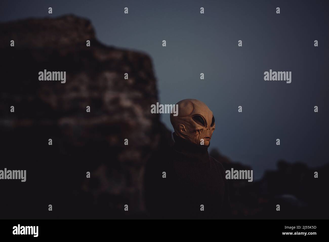 Portrait of alien head in a dark outdoors nature background. Concept of ...