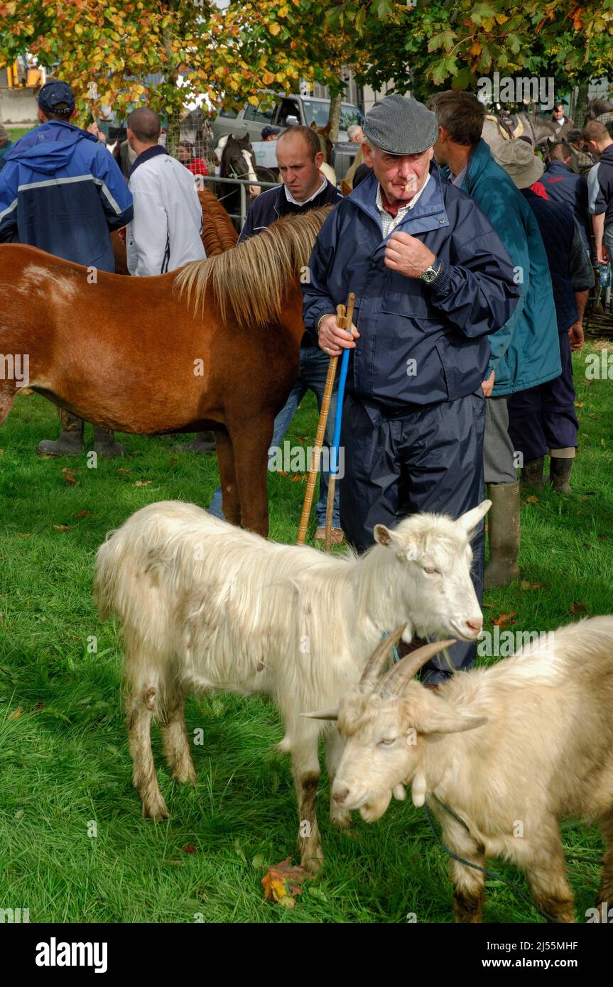 Man with two goats for sale at Ballinasloe Horse Fair, County Galway ...
