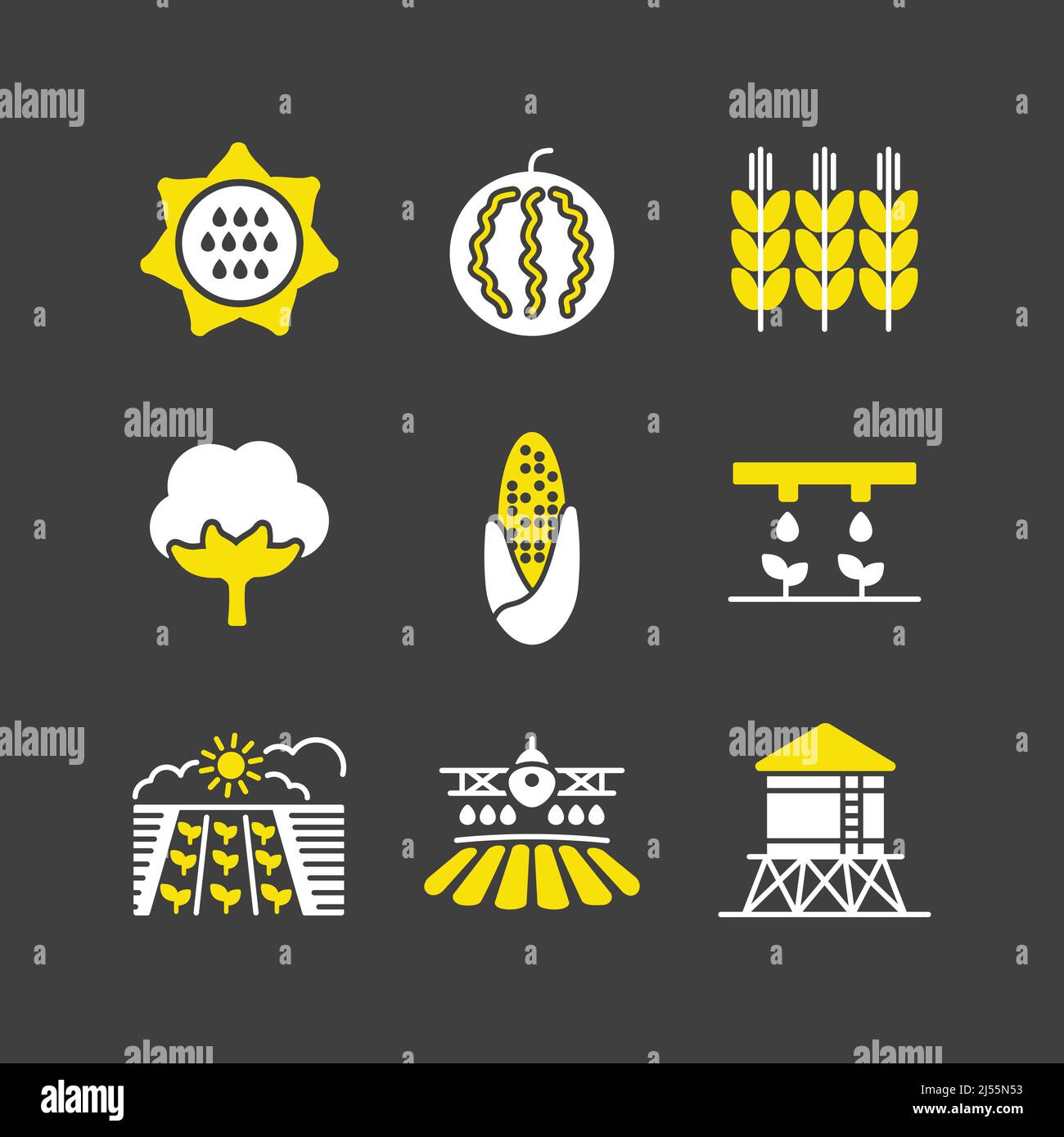 Maize seedling Stock Vector Images - Alamy