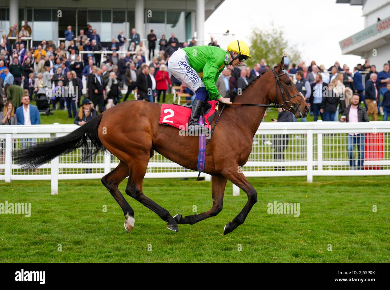 Achelois horse hi-res stock photography and images - Alamy