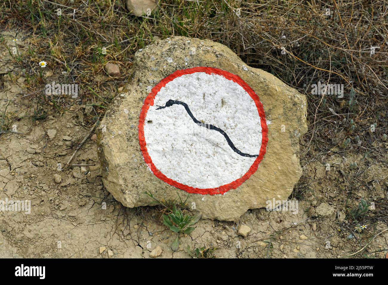 Snake danger sign on the rock, Gobustan State Historical and Cultural ...