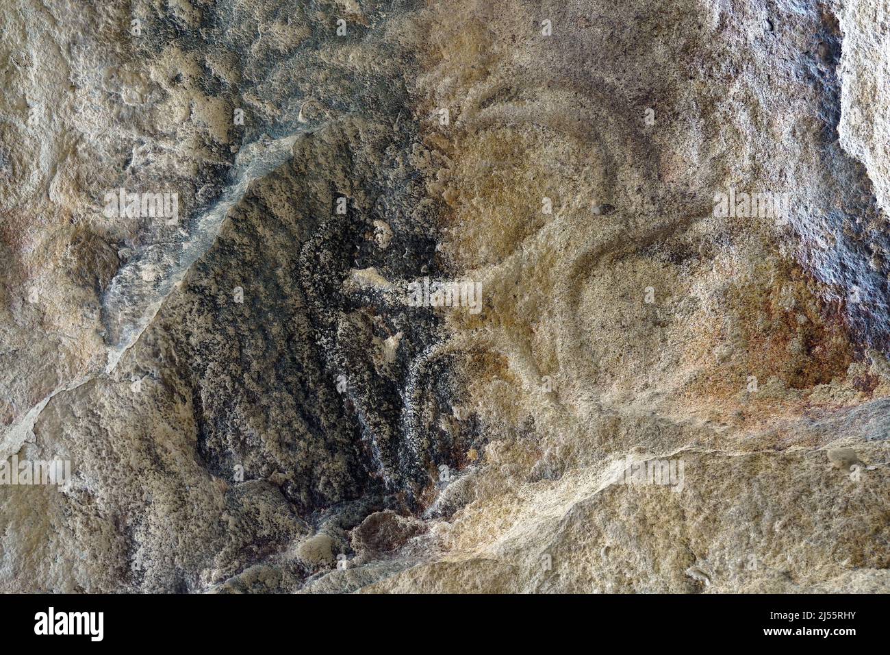 Petroglyphs on rock, Gobustan Rock Art, Gobustan State Historical and ...