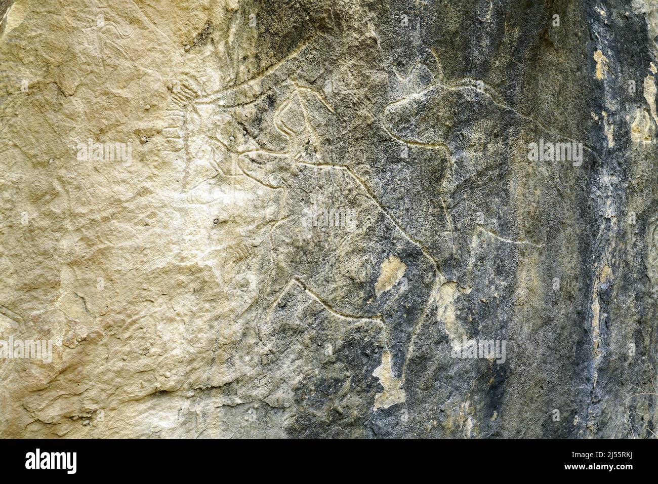Petroglyphs on rock, Gobustan Rock Art, Gobustan State Historical and ...