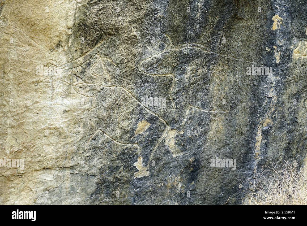 Petroglyphs on rock, Gobustan Rock Art, Gobustan State Historical and ...