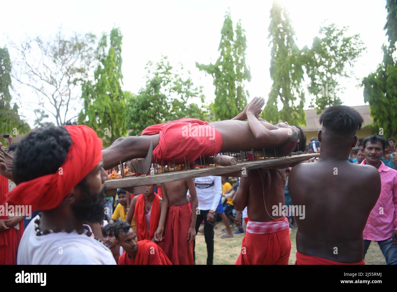 Charhak tree hi-res stock photography and images - Alamy
