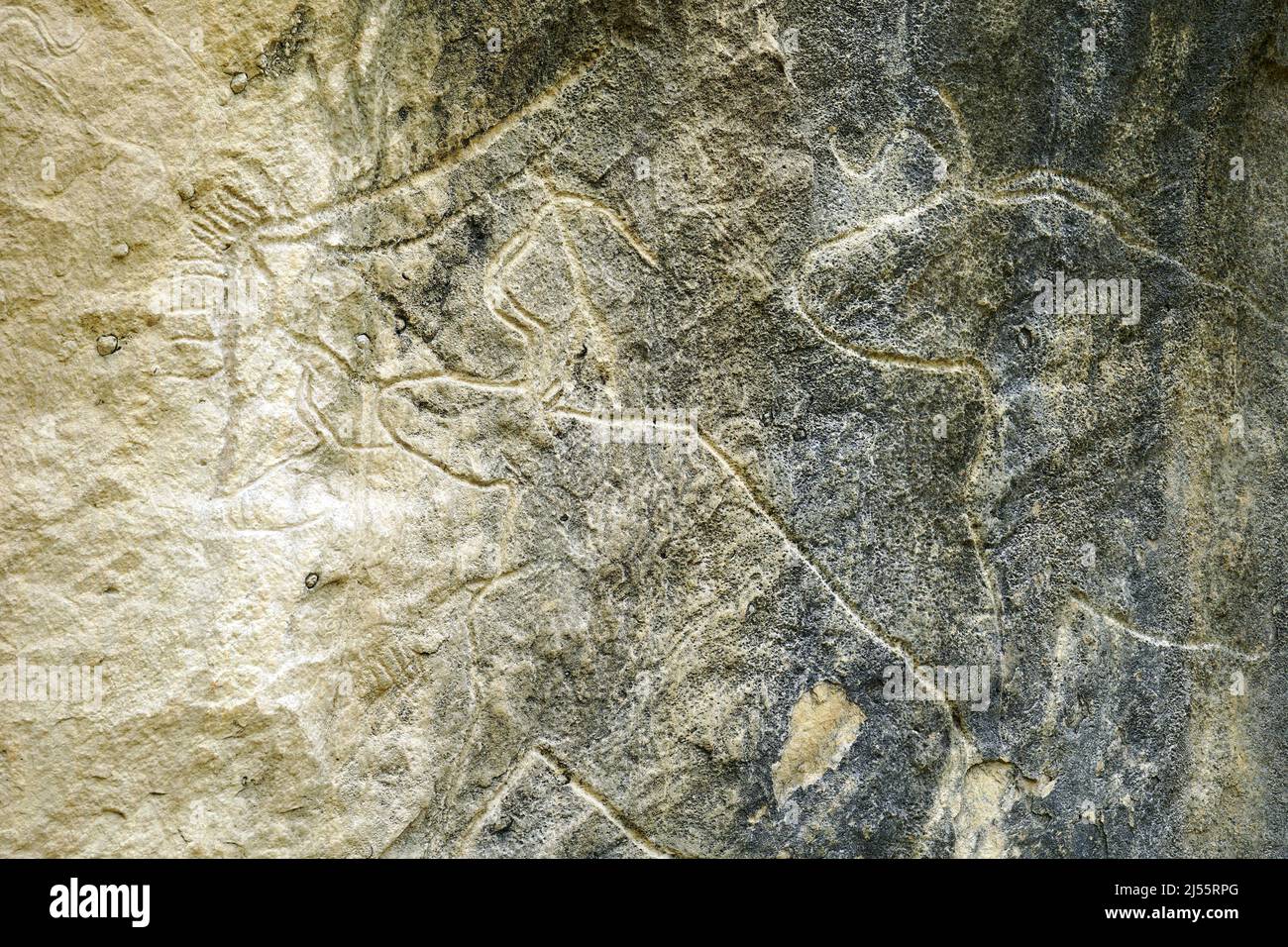 Petroglyphs on rock, Gobustan Rock Art, Gobustan State Historical and ...