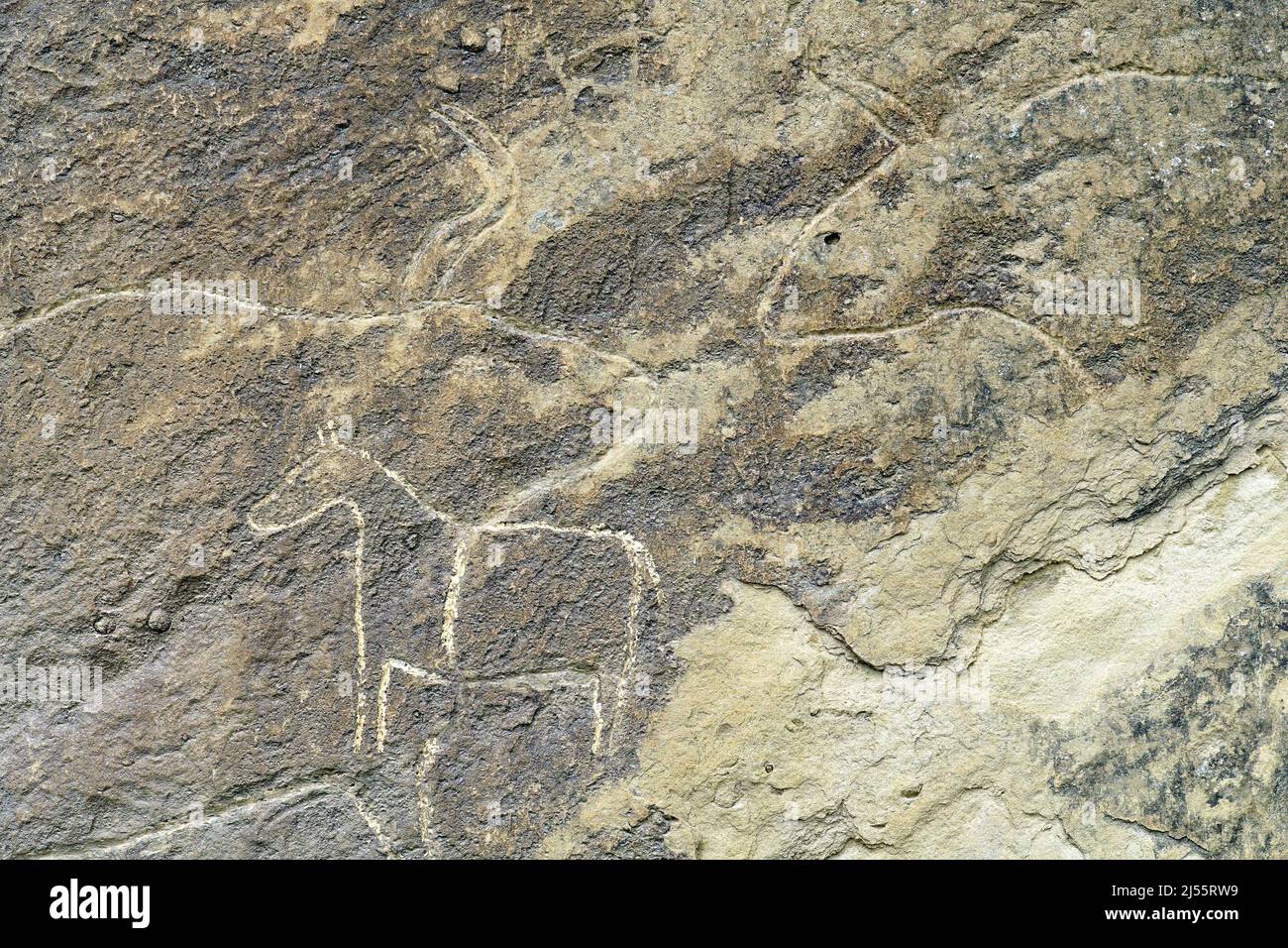 Petroglyphs on rock, Gobustan Rock Art, Gobustan State Historical and ...