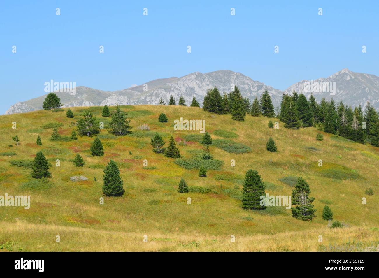 Zeelengora mountain hi-res stock photography and images - Alamy