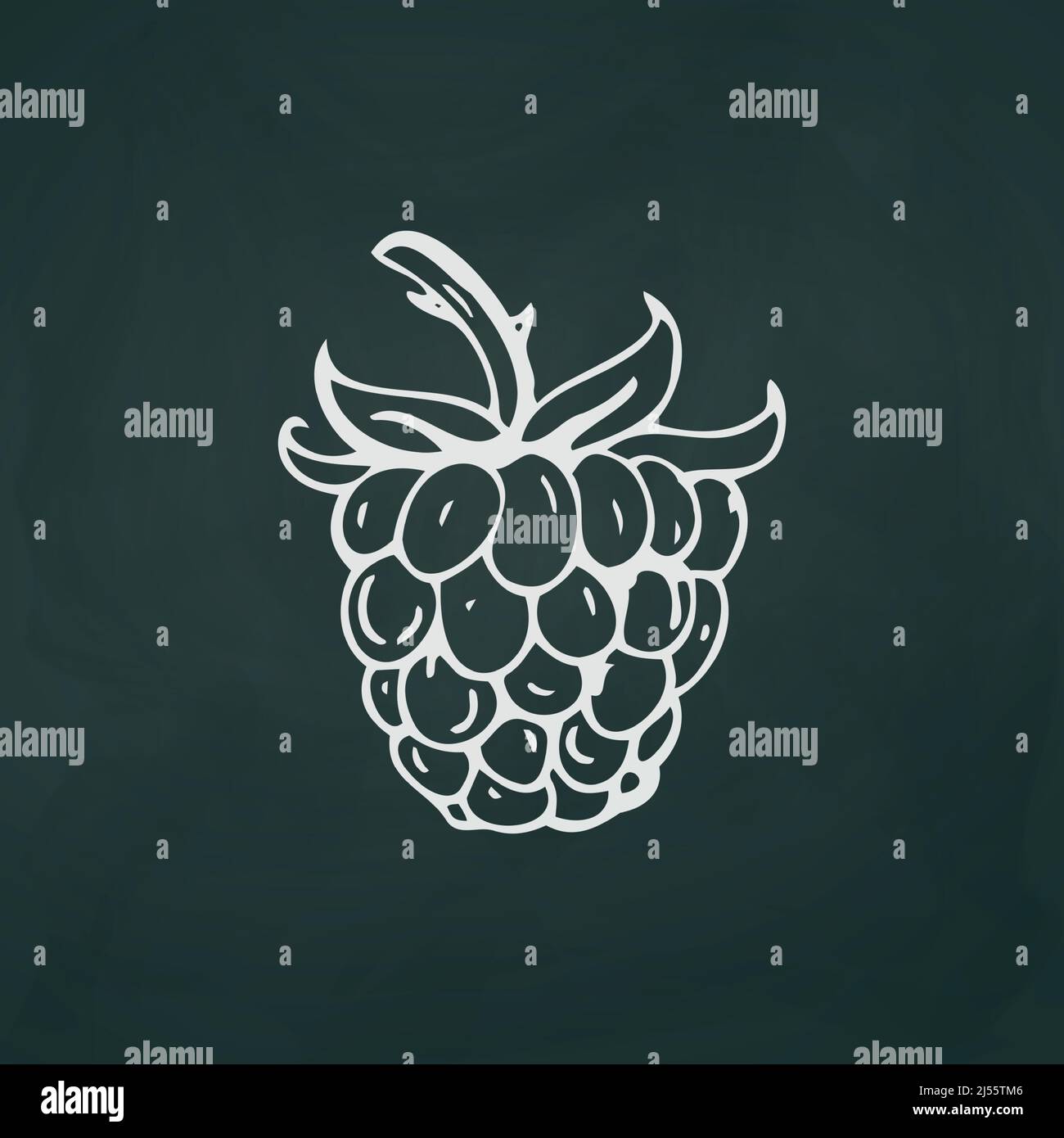 Raspberry thin white lines on a textural dark background - Vector ...