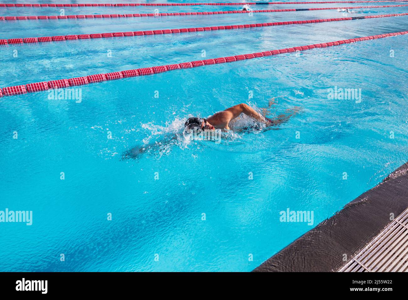 Swim sport swimmer man swimming in pool training for race. Professional ...