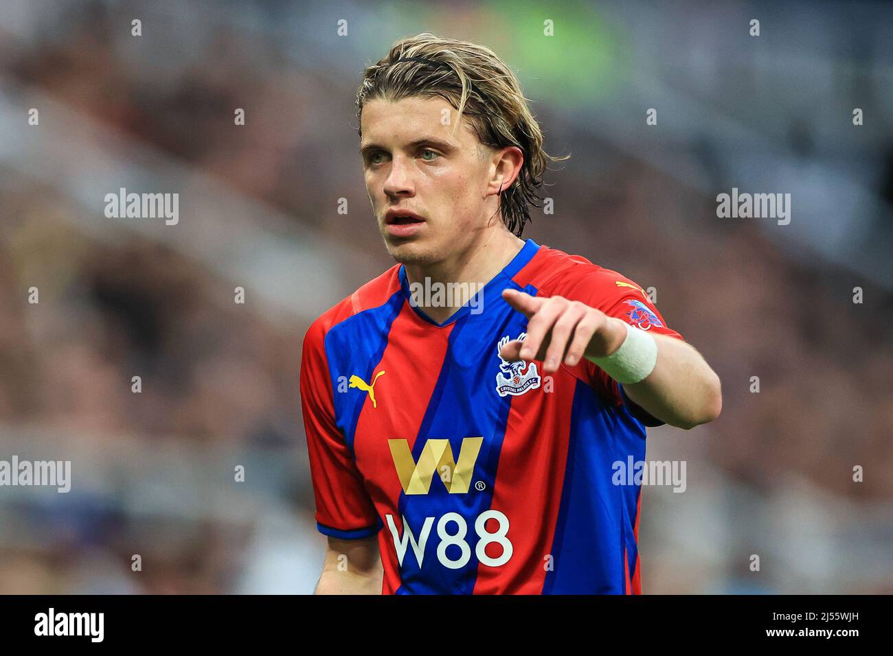 Conor Gallagher #23 of Crystal Palace gives his team instructions Stock ...