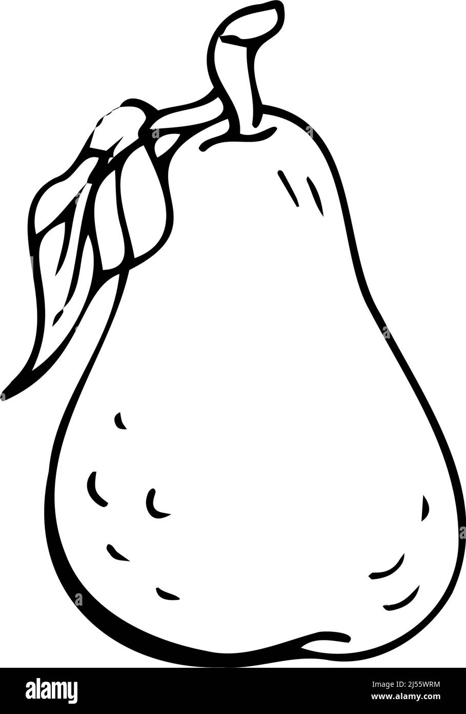 Pear thin black lines on a white background - Vector illustration Stock ...