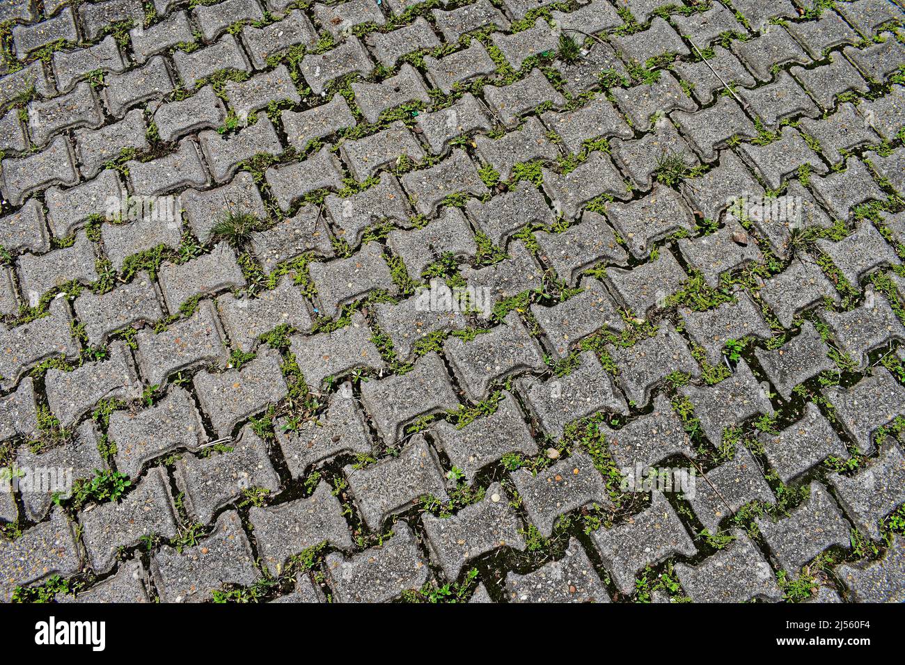 Patterned paving blocks, cement brick floor Stock Photo - Alamy