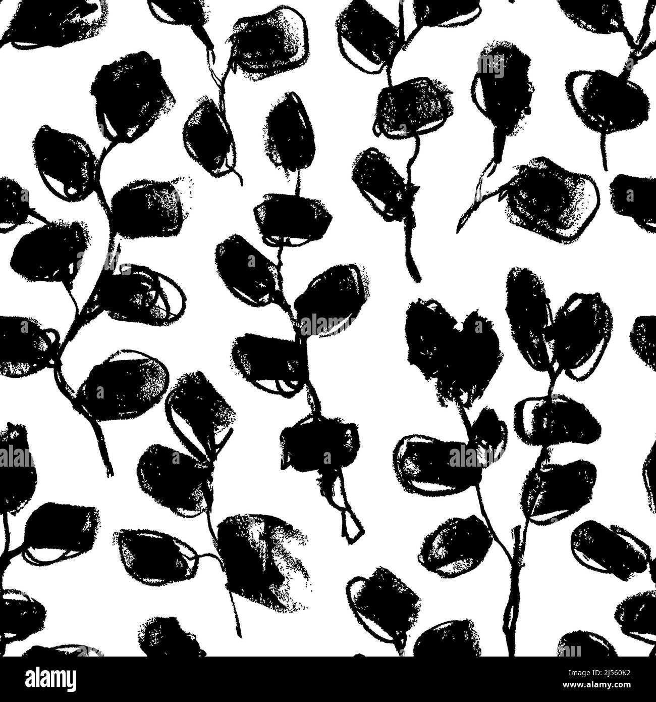 Sage plant vector botanical hi-res stock photography and images - Alamy