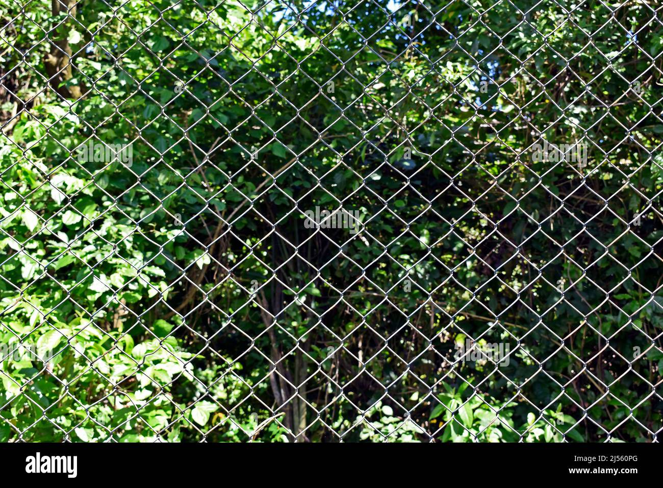 Wire mesh and tropical forest in the backgound Stock Photo - Alamy