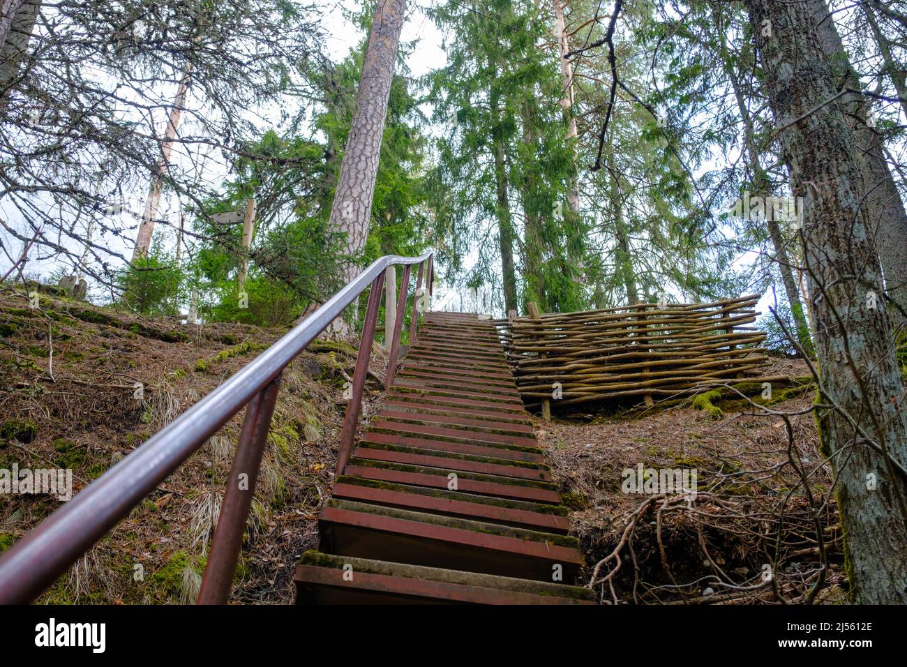 Long Staircase in Wood. Stairs in the city. Old stair in the forest ...