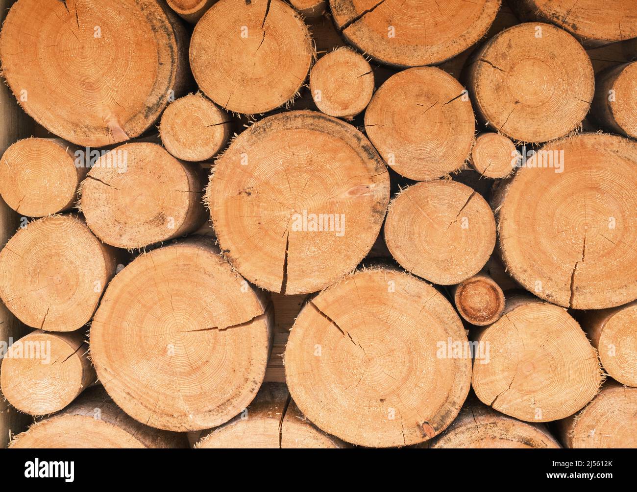 Sawn end of tree hi-res stock photography and images - Alamy
