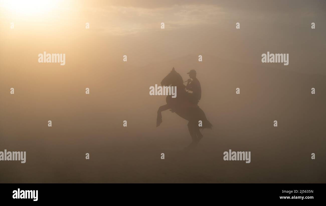 Yilki horse hi-res stock photography and images - Alamy