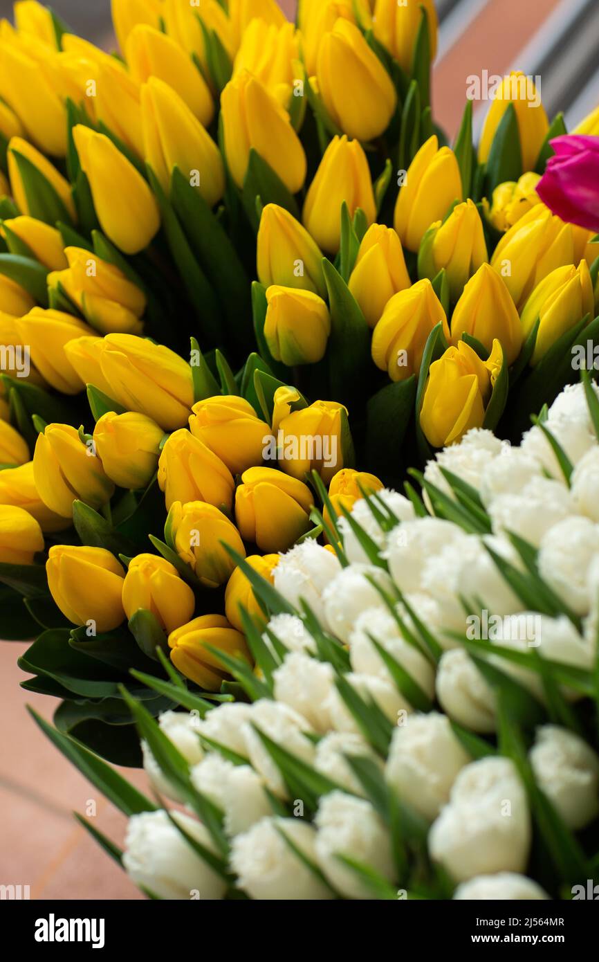 Many different colors on the stand table in the flower shop. Showcase ...
