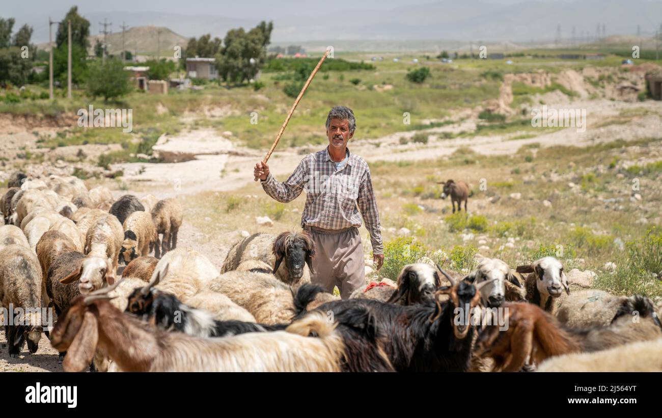 Iranian rural shepherd iran hi-res stock photography and images - Alamy