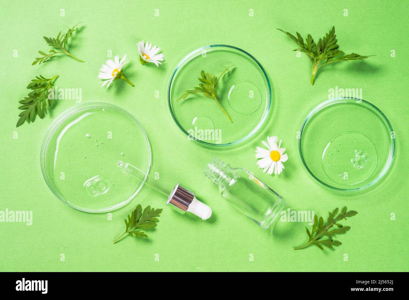 Cosmetic laboratory concept at green background top view Stock Photo ...