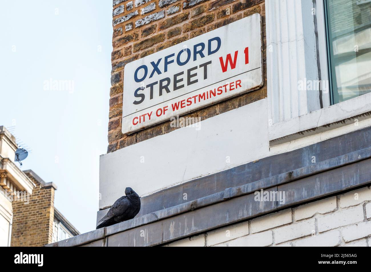 London pigeon sign spring hi-res stock photography and images - Alamy