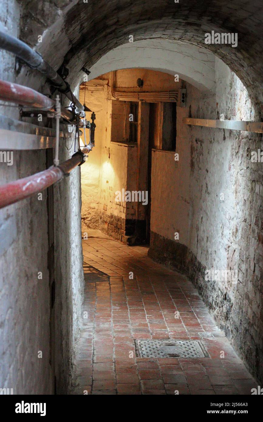 Basement garden hi-res stock photography and images - Alamy