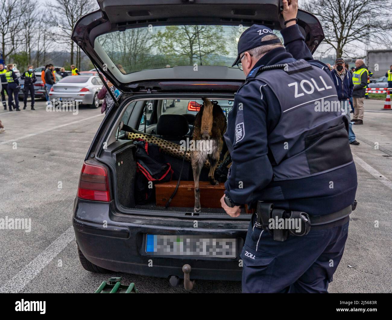 Drug-sniffing dog of the customs during a joint control of customs and ...