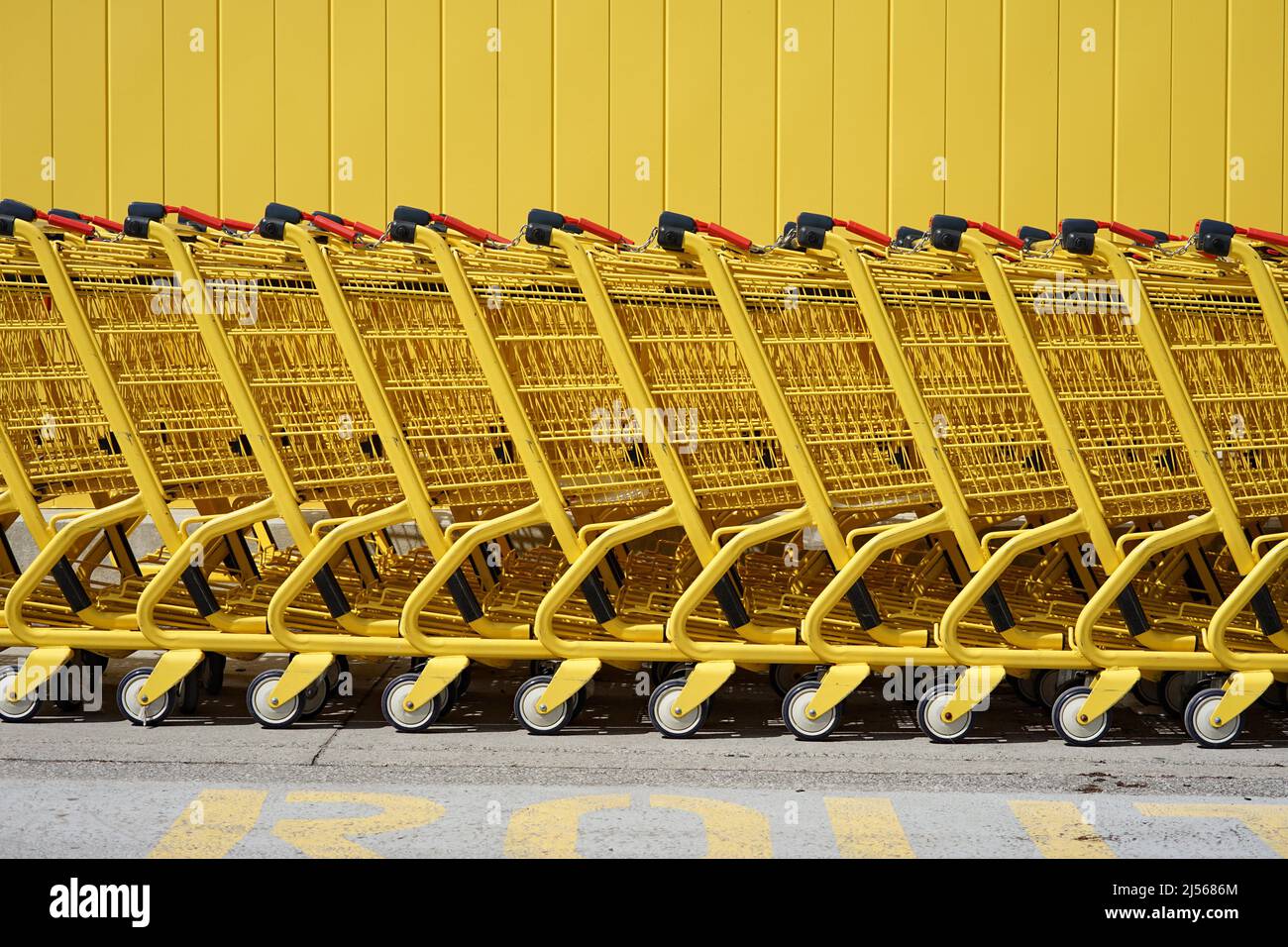 row of shopping carts outside a supermarket Stock Photo - Alamy
