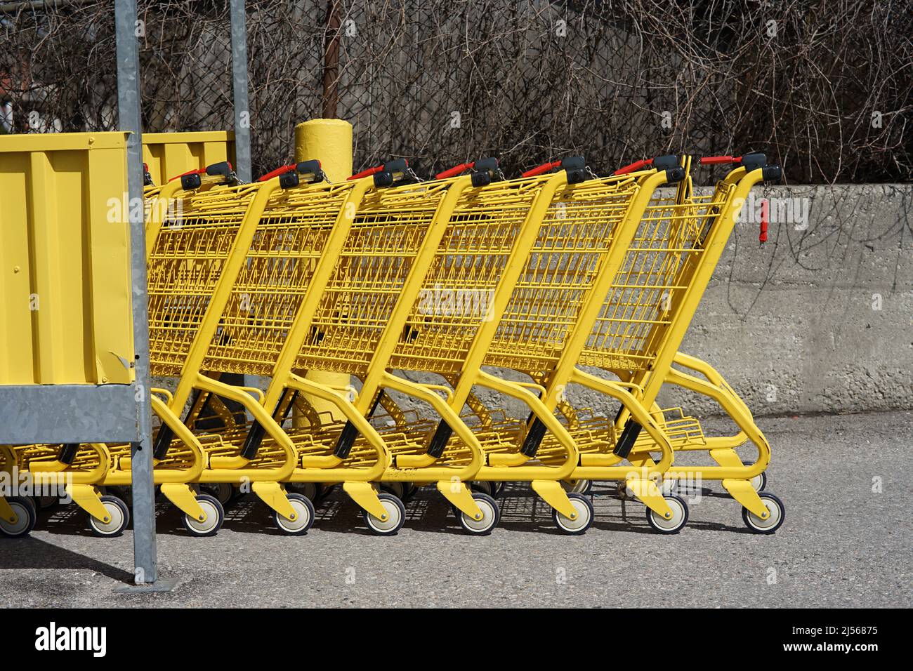 row of shopping carts outside a supermarket Stock Photo - Alamy