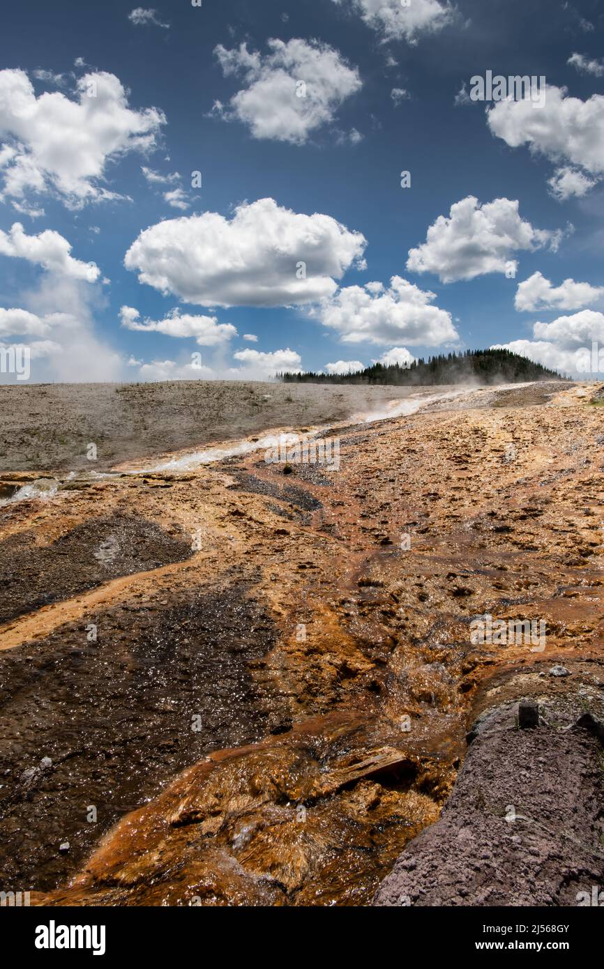 Yellowstone geothermal pools bacteria hi-res stock photography and ...