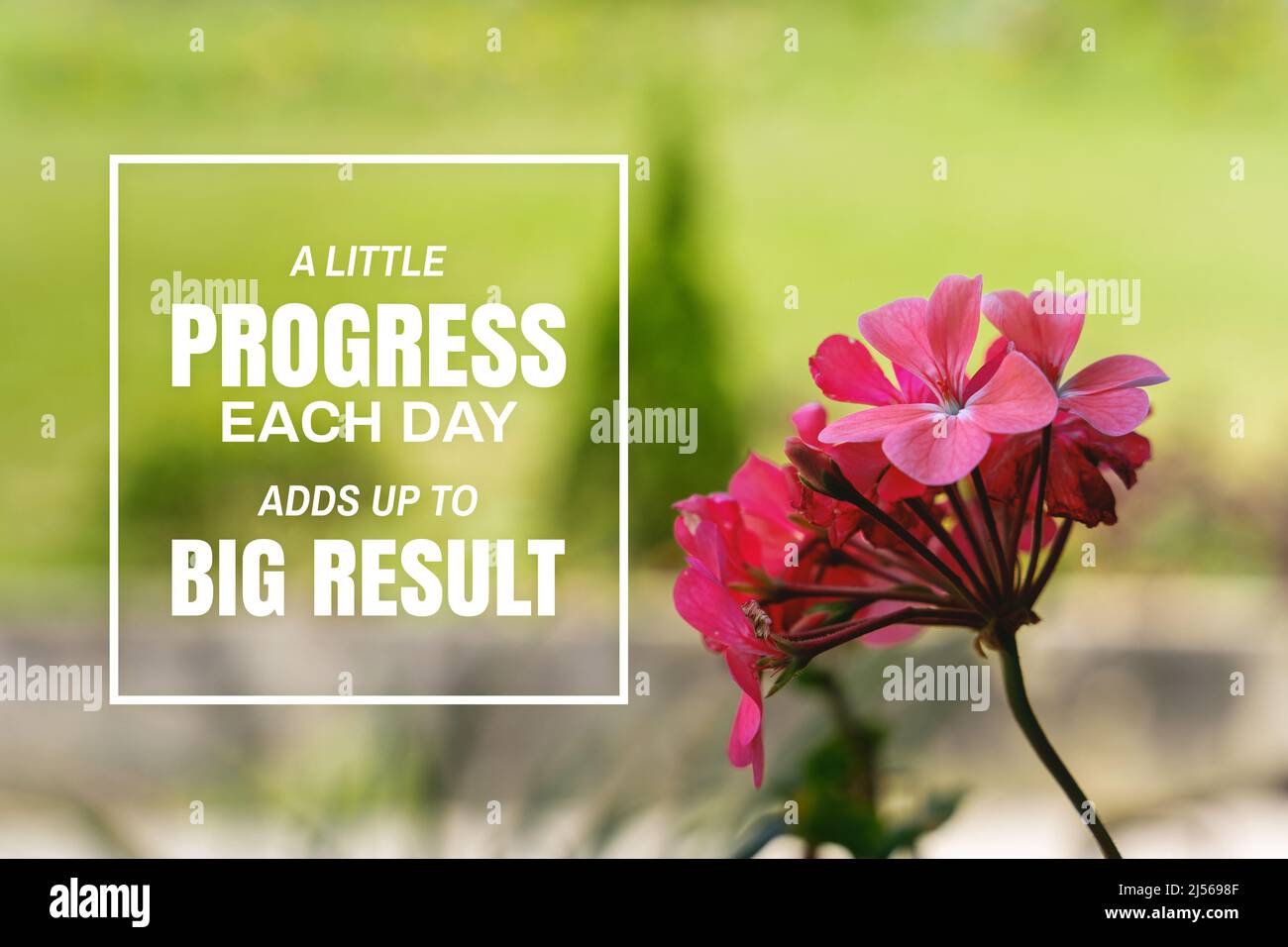 Geranium Flower Against Fresh Nature Background. Inspirational Quote. A ...