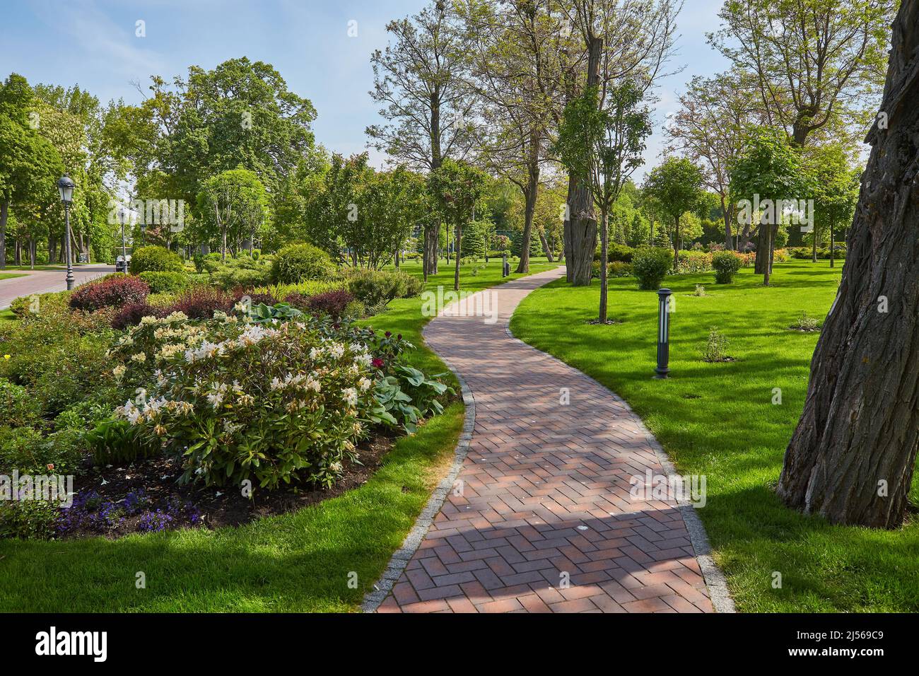 Jogging track in garden of public park among greenery trees, flower ...