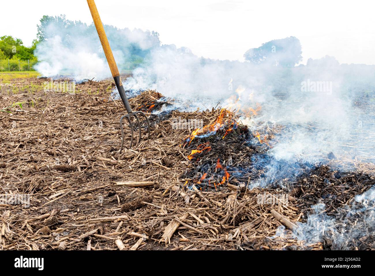 Burning corn field hi-res stock photography and images - Alamy