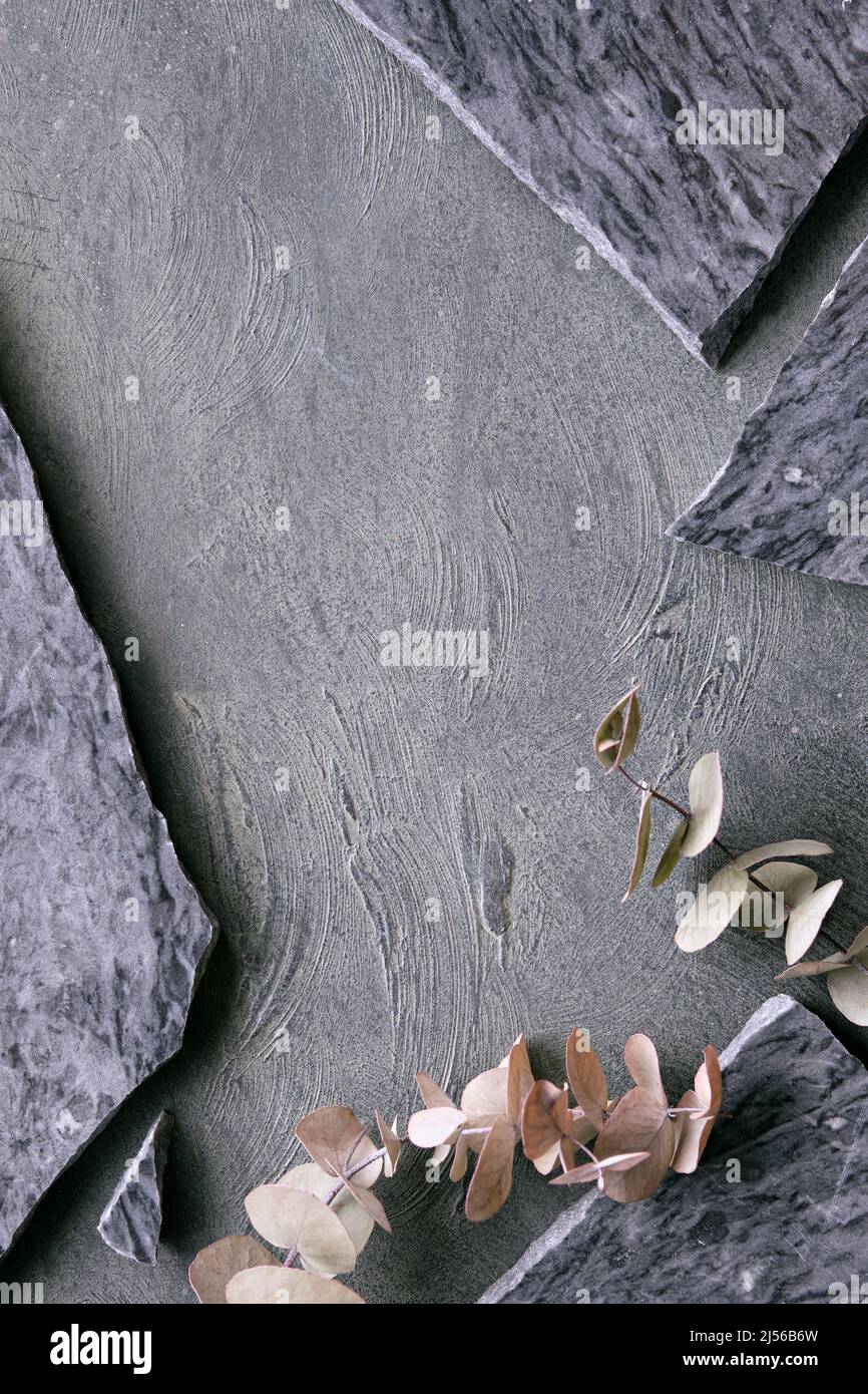 Fop view hi-res stock photography and images - Alamy