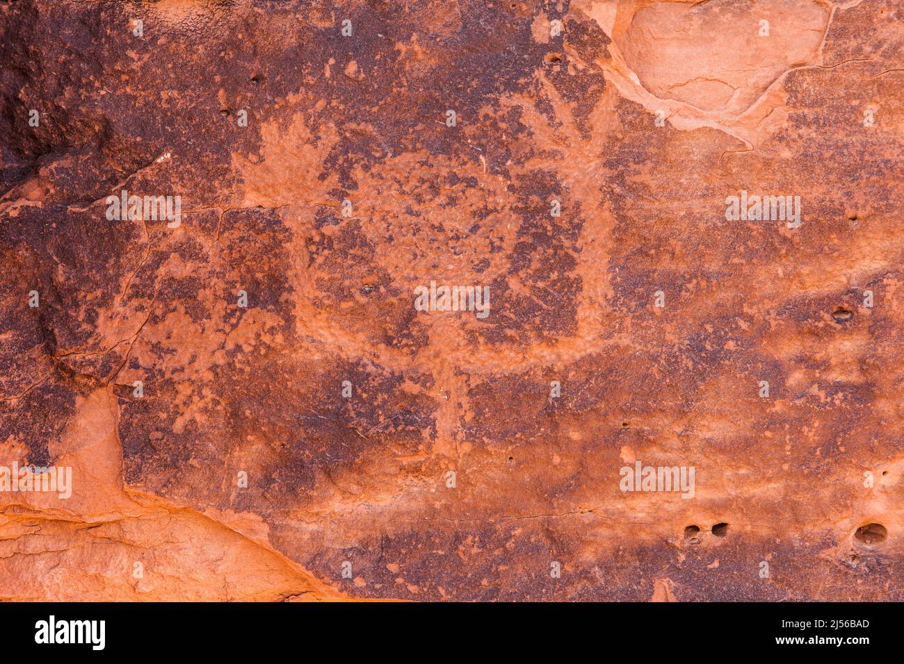 Ancient petroglyphs near River House Ruin by the San Juan River, Shash ...