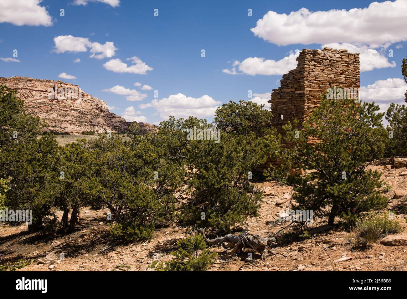 The Tower Ruin is a Native American Ancestral Puebloan surface ruin in ...