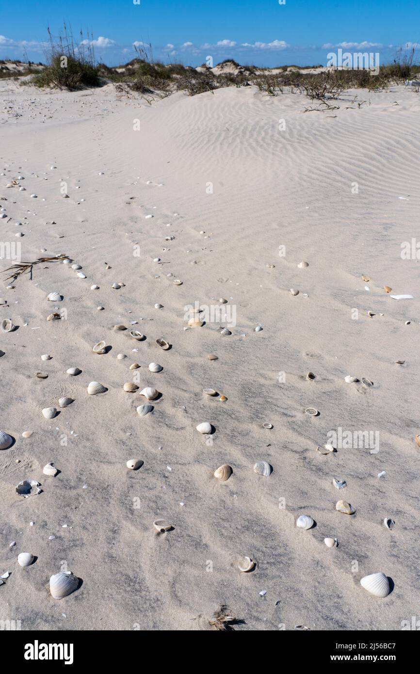 Ocean dead zone gulf of mexico hi-res stock photography and images - Alamy