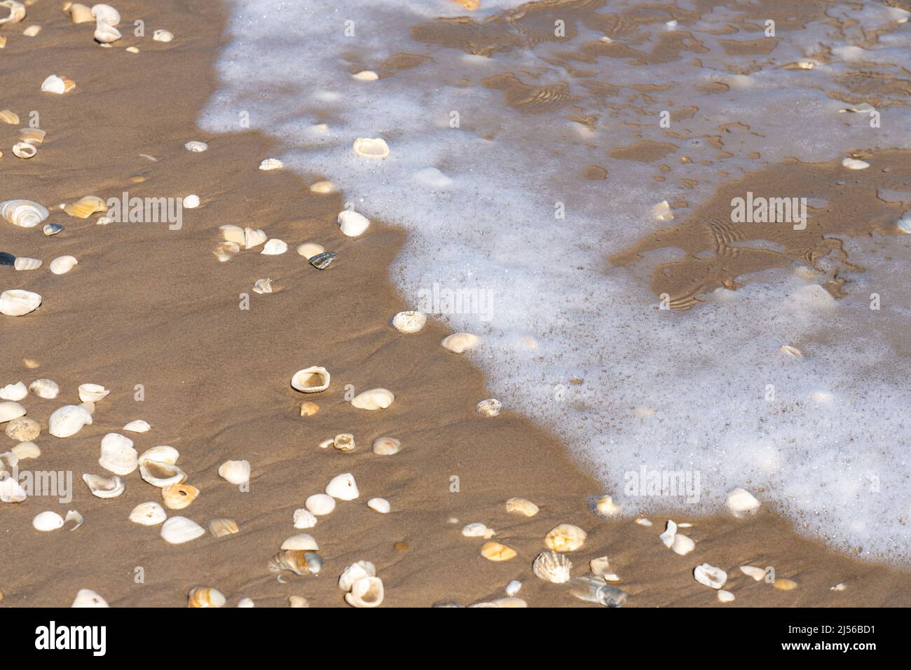 Ocean dead zone gulf of mexico hi-res stock photography and images - Alamy