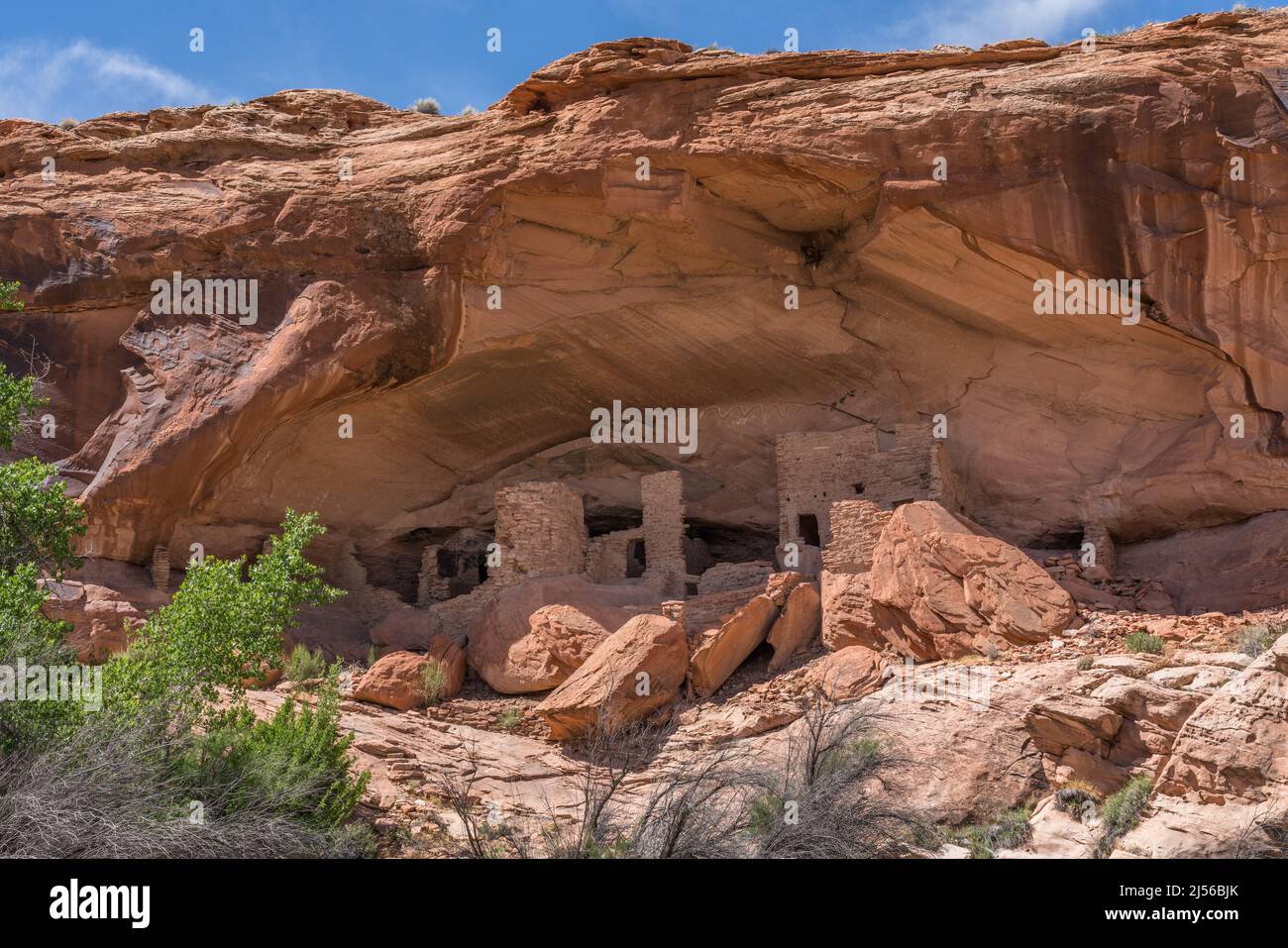 River House Ruin near the San Juan River, Shash Jaa Unit, Bears Ears ...