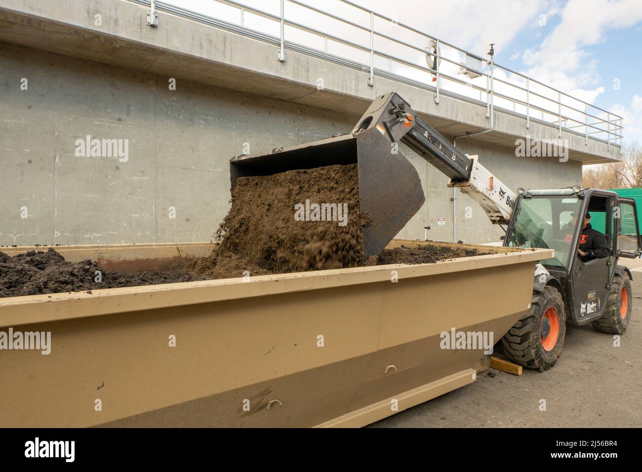 An operator dumps dewatered sludge with a front-end loader in an SBR or ...